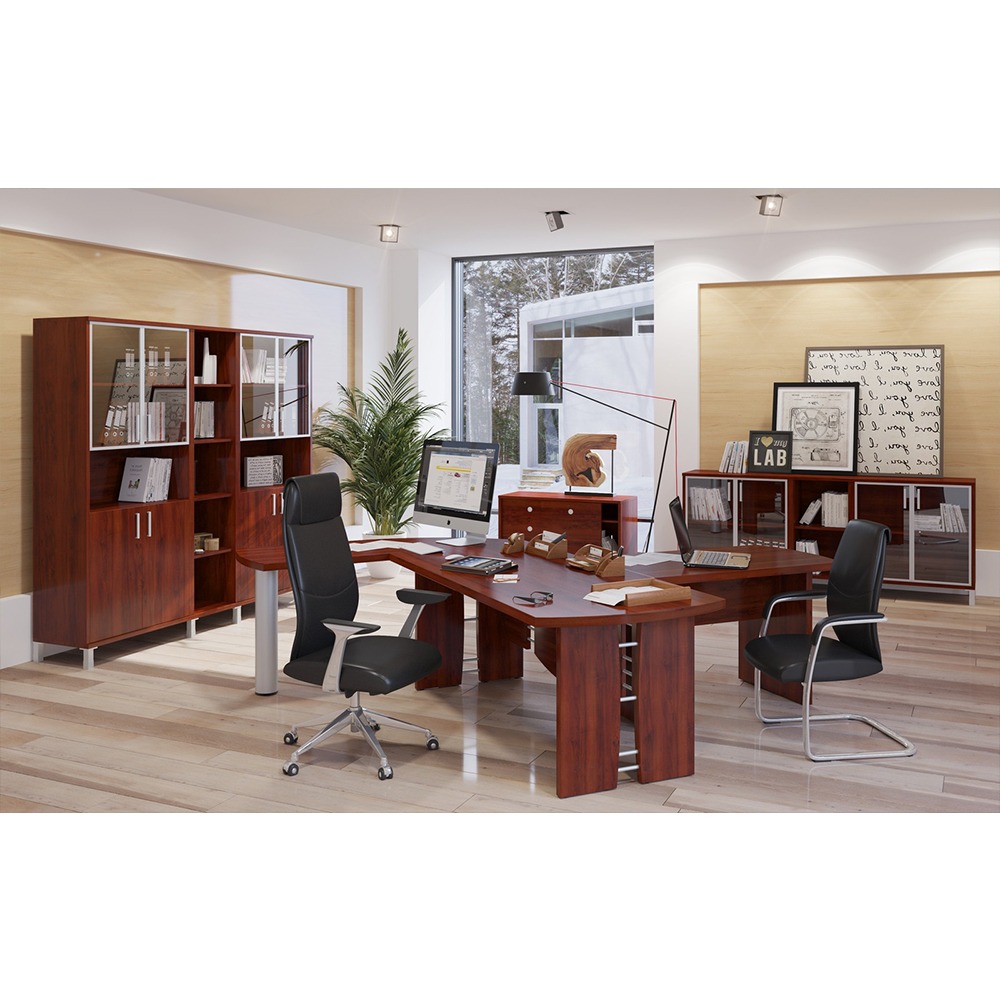 Serija BORN - Modrulj