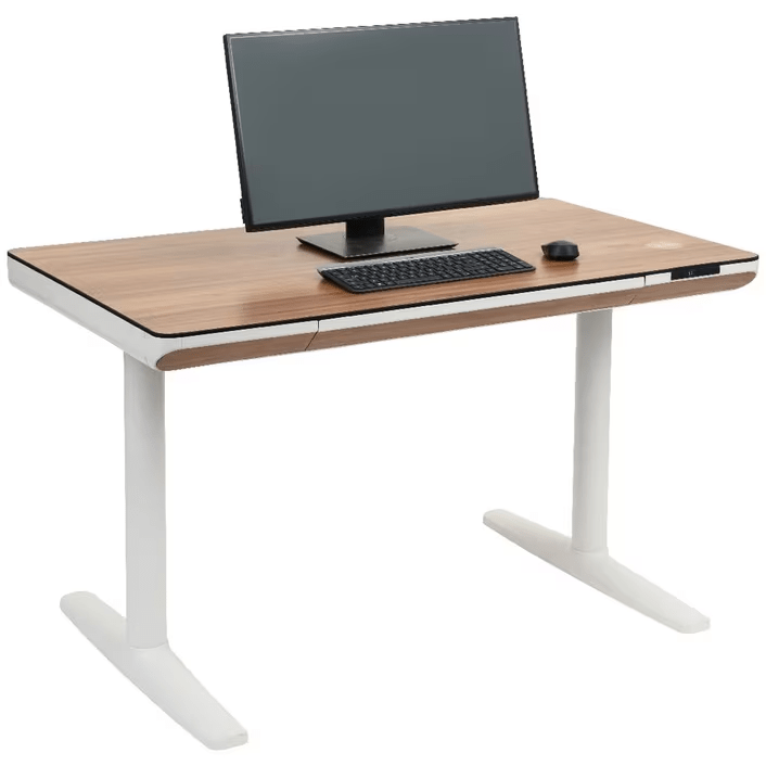 ErgoSto Tea sa dva elektomotora - Modrulj Ergonomski Podesivi Sto