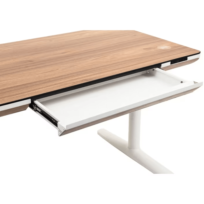 ErgoSto Tea sa dva elektomotora - Modrulj Ergonomski Podesivi Sto