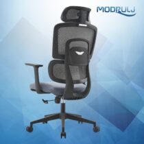Ergonomska stolica M 253 - Modrulj Ergonomske stolice novi modeli